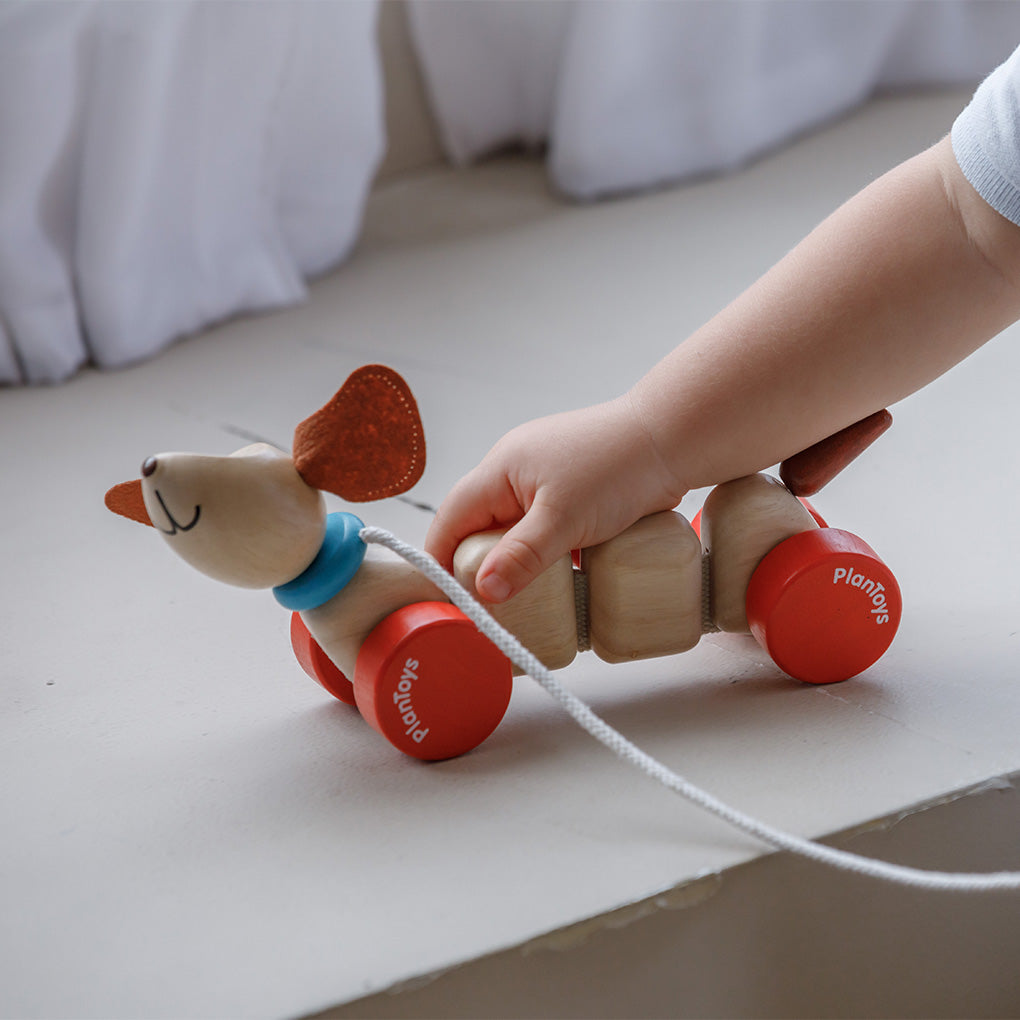 Happy Puppy - Push & Pull Toy – Shop Little Cousins