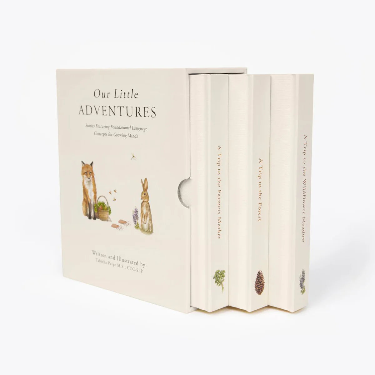 Our Little Adventures Box Set – Shop Little Cousins